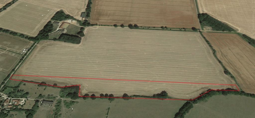 Norfolk farmer squares off fields with Miscanthus - terravesta.com